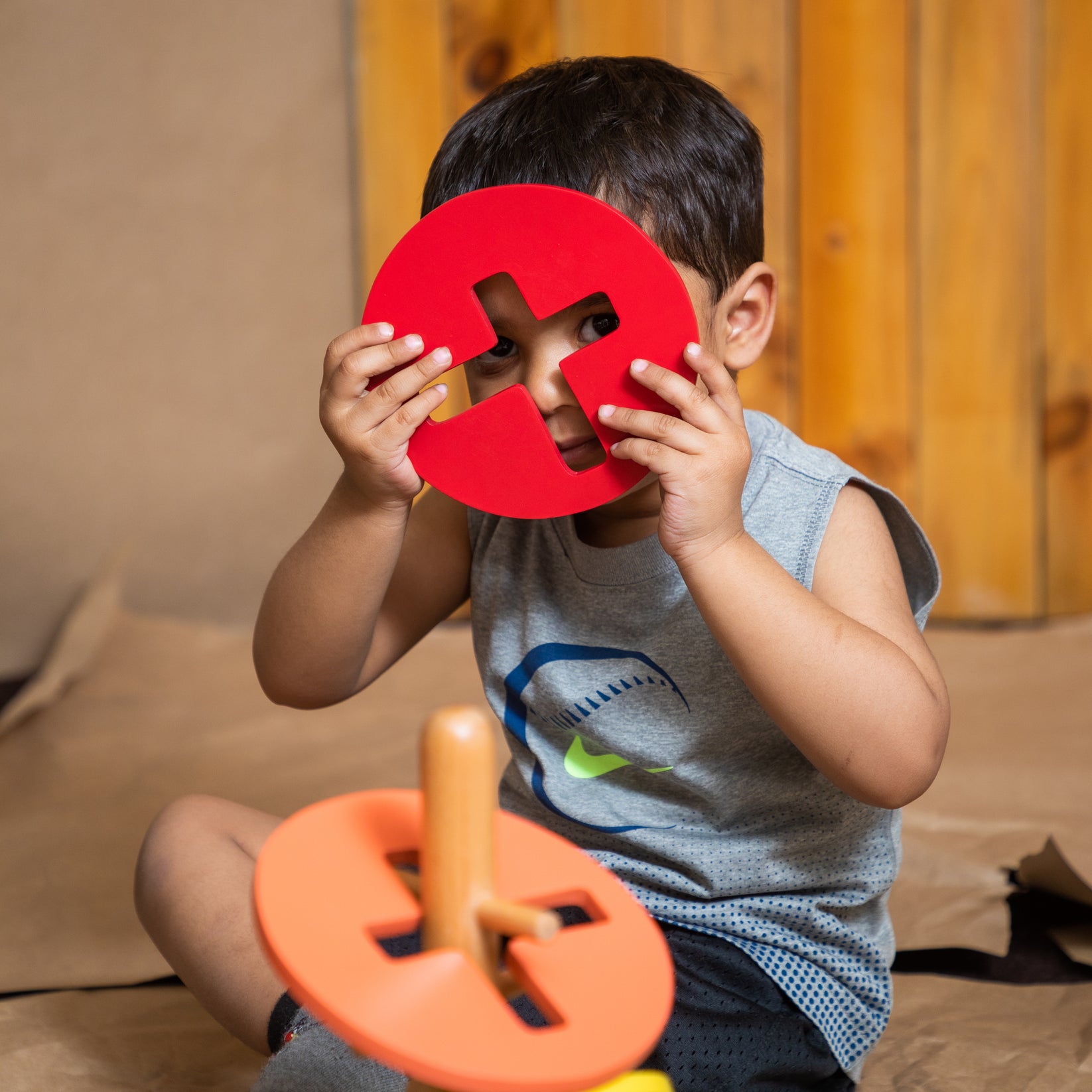 Sorting Disc – Wood-O-Kidz